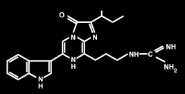 EAMCET Zoology: Bioluminescence Vs Fluorescence