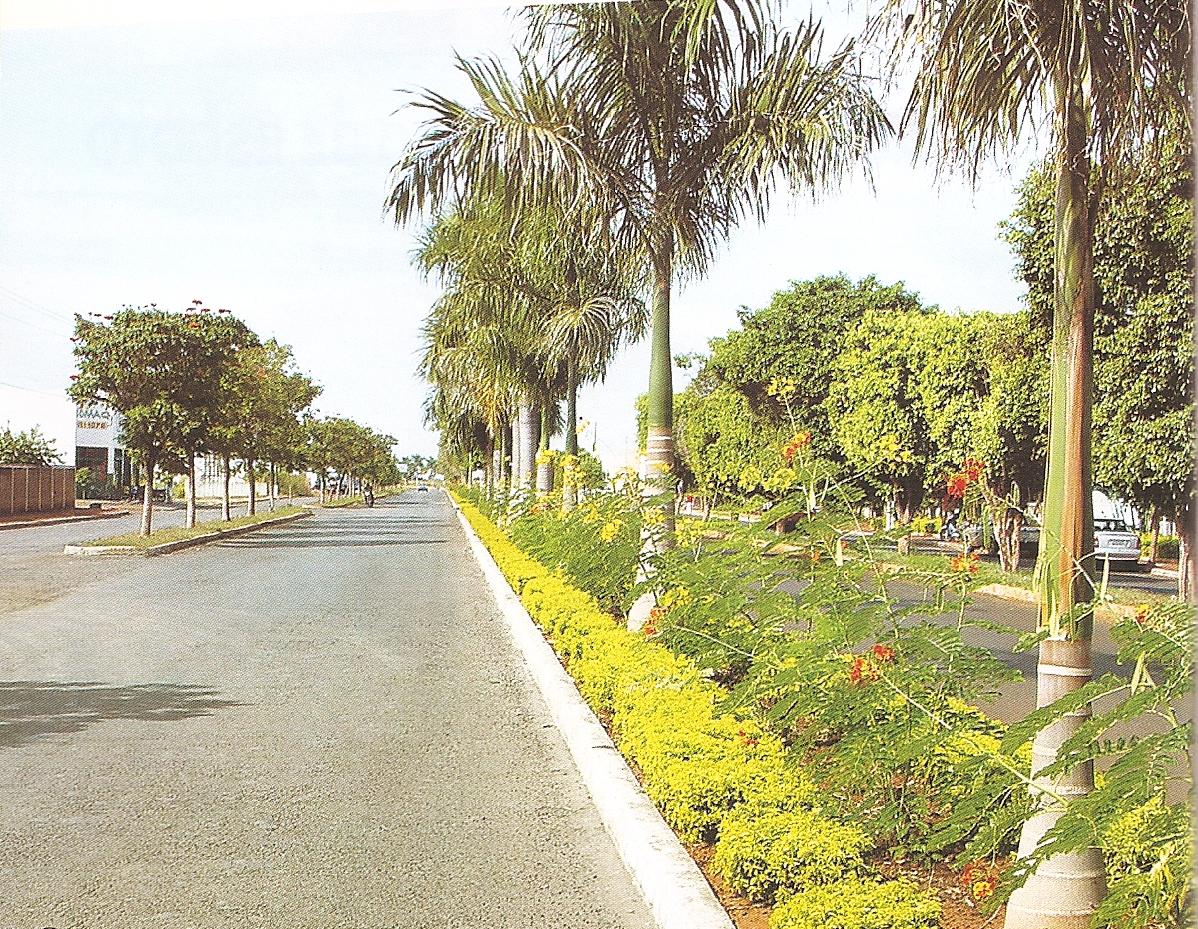 QUIRINÓPOLIS EM DESTAQUE: FOTOS DE QUIRINÓPOLIS