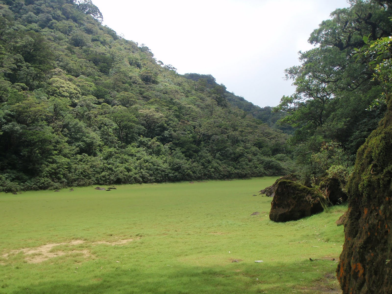 The Journey: Mt.Patag Revisited