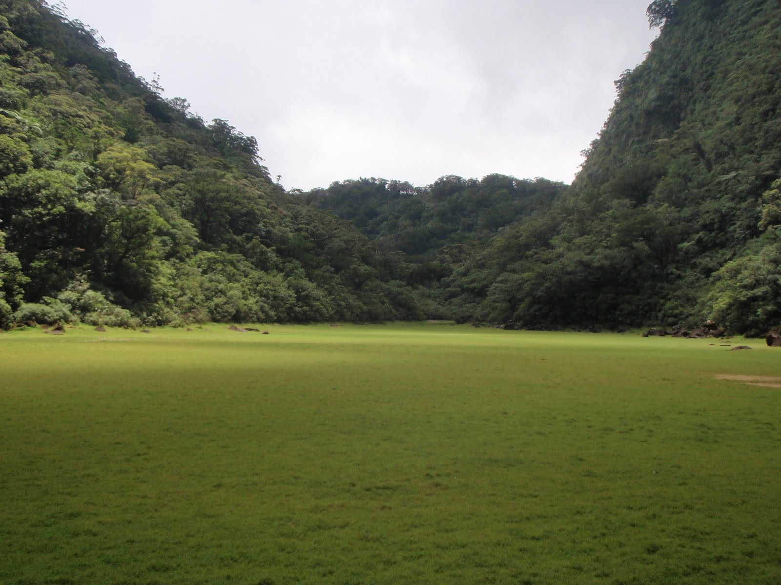 The Journey: Mt.Patag Revisited