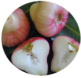 Health: Wax jambu fruit facts