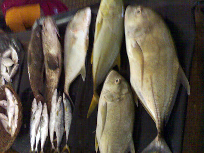 Karwar Daily Photo: Fish on display in Karwar Fish Market