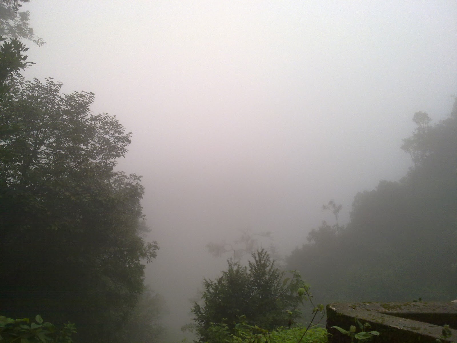 Karwar Daily Photo: Mist Covered Devimane Ghat en-route Karwar-Sirsi
