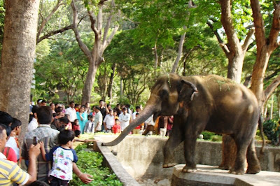 PAWS-Mumbai Photographs: PAWS-Mumbai visited Veermata Jijabai Bhonsle ...