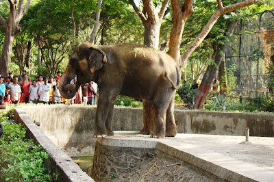 PAWS-Mumbai Photographs: PAWS-Mumbai visited Veermata Jijabai Bhonsle ...