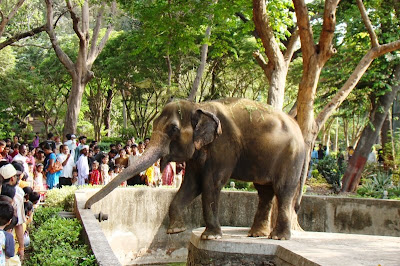 PAWS-Mumbai Photographs: PAWS-Mumbai visited Veermata Jijabai Bhonsle ...