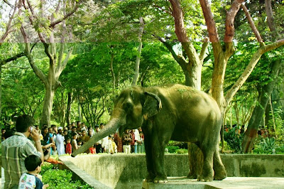 PAWS-Mumbai Photographs: PAWS-Mumbai visited Veermata Jijabai Bhonsle ...