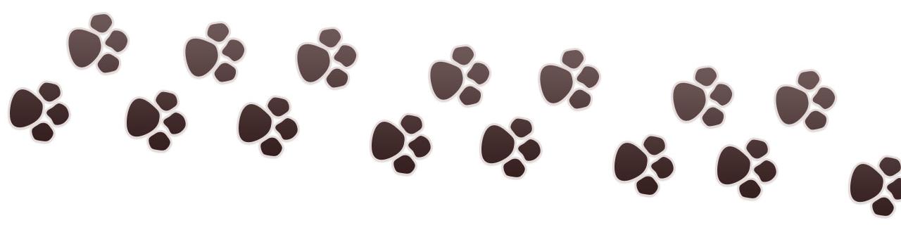 Imagenes de huellitas - Imagui