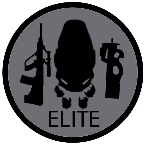 Eastern Task Force Airsoft: Rank Insignias Have Been Established