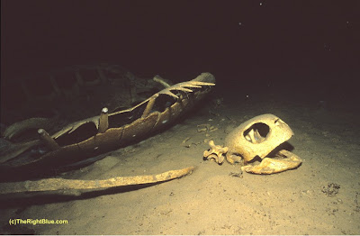 The Right Blue: The Cave Where Turtles Die