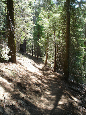 James' MTB Blog: Kernville/Sequoia Trip Day 4: Camp Nelson
