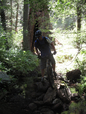 James' MTB Blog: Kernville/Sequoia Trip Day 4: Camp Nelson