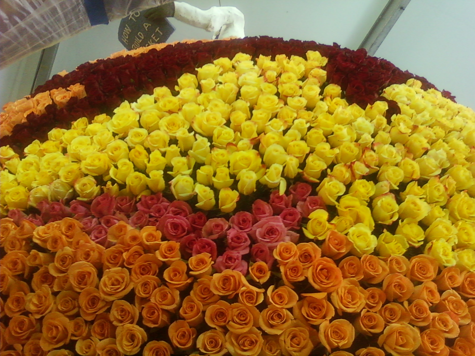 ArroyoLover: The Cal Poly Float: A Rose Parade Tradition