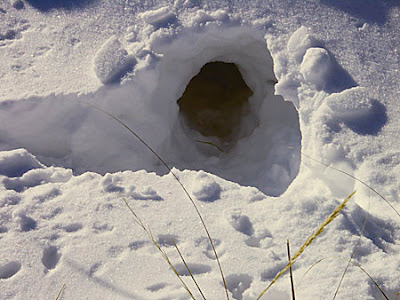 High Mountain Doings: December 2006