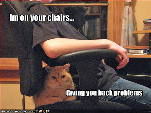 Nick's Bytes: Too Bad It's Monday (Jokes, Humor, and Katz)