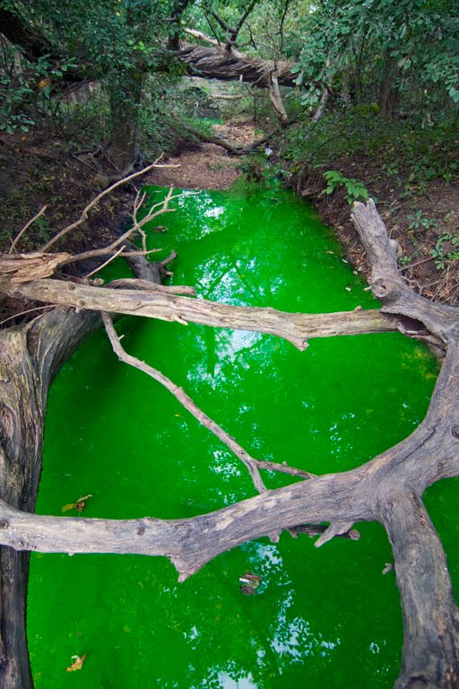 Urban Wilderness: Green Rivers