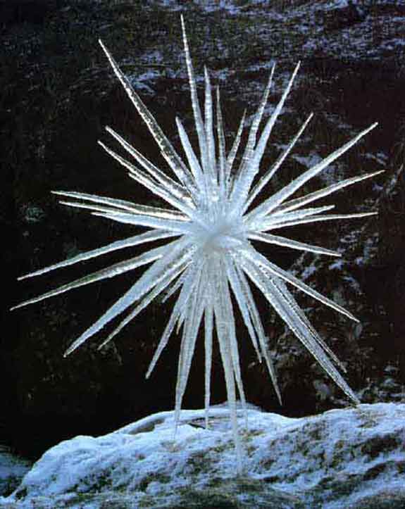 Ecu Sculpture Andy Goldsworthy