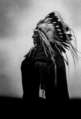 Daniel Alvarez Arellano: Carta del jefe Seattle al Presidente de los ...