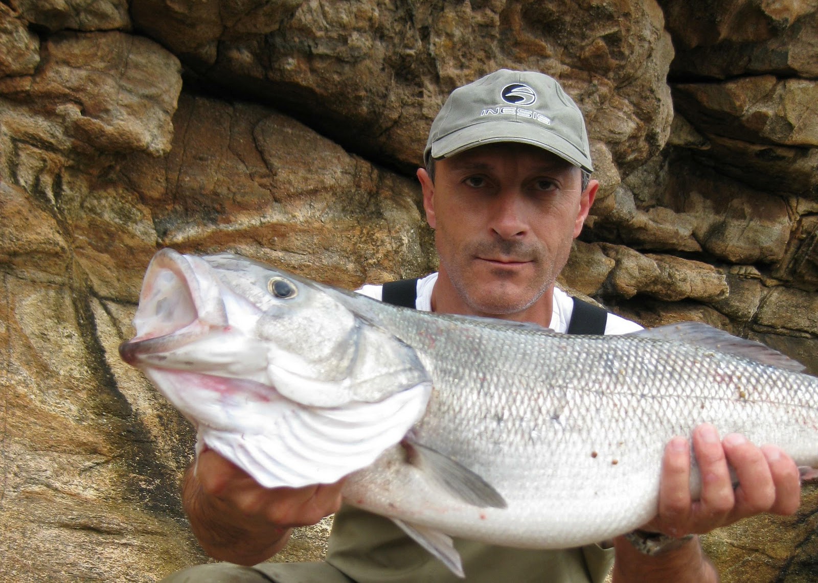 solorobalizas: Lubina-Sea Bass macho o hembra