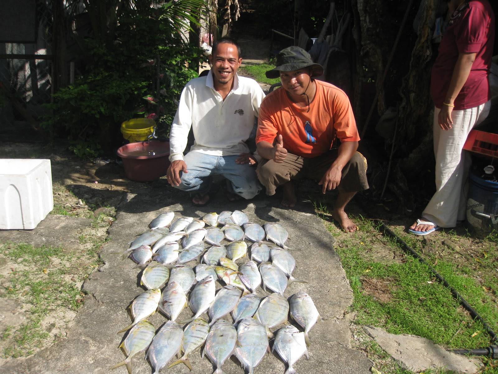 Bot Pancing Mersing Tanjung Leman-Pulau Tinggi - Resort Pulau Tinggi ...