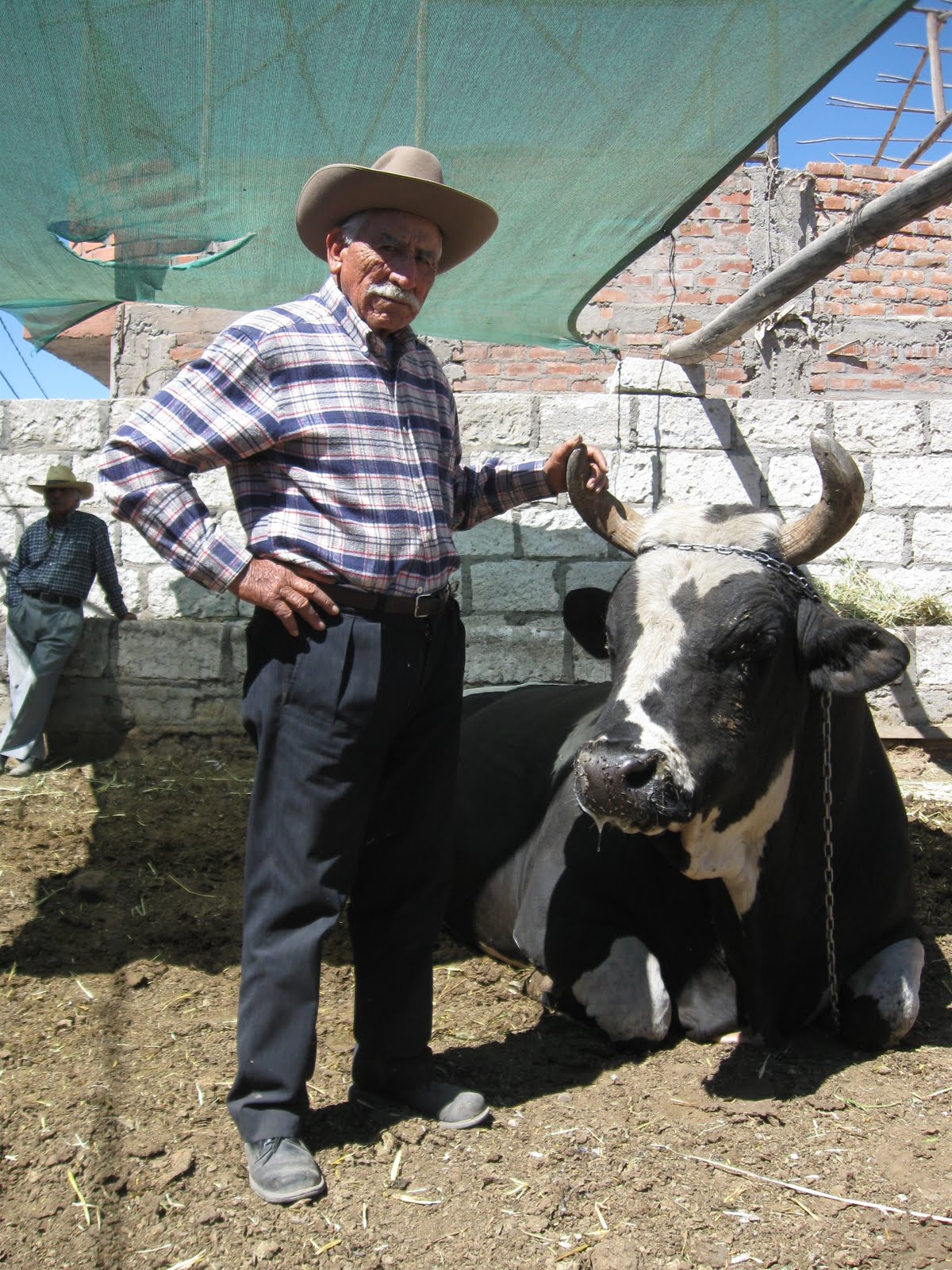 PERIODISTAS SALVAJES: LA SENSUALIDAD DE PATY CABRERA, IN MEMORIAN A ...
