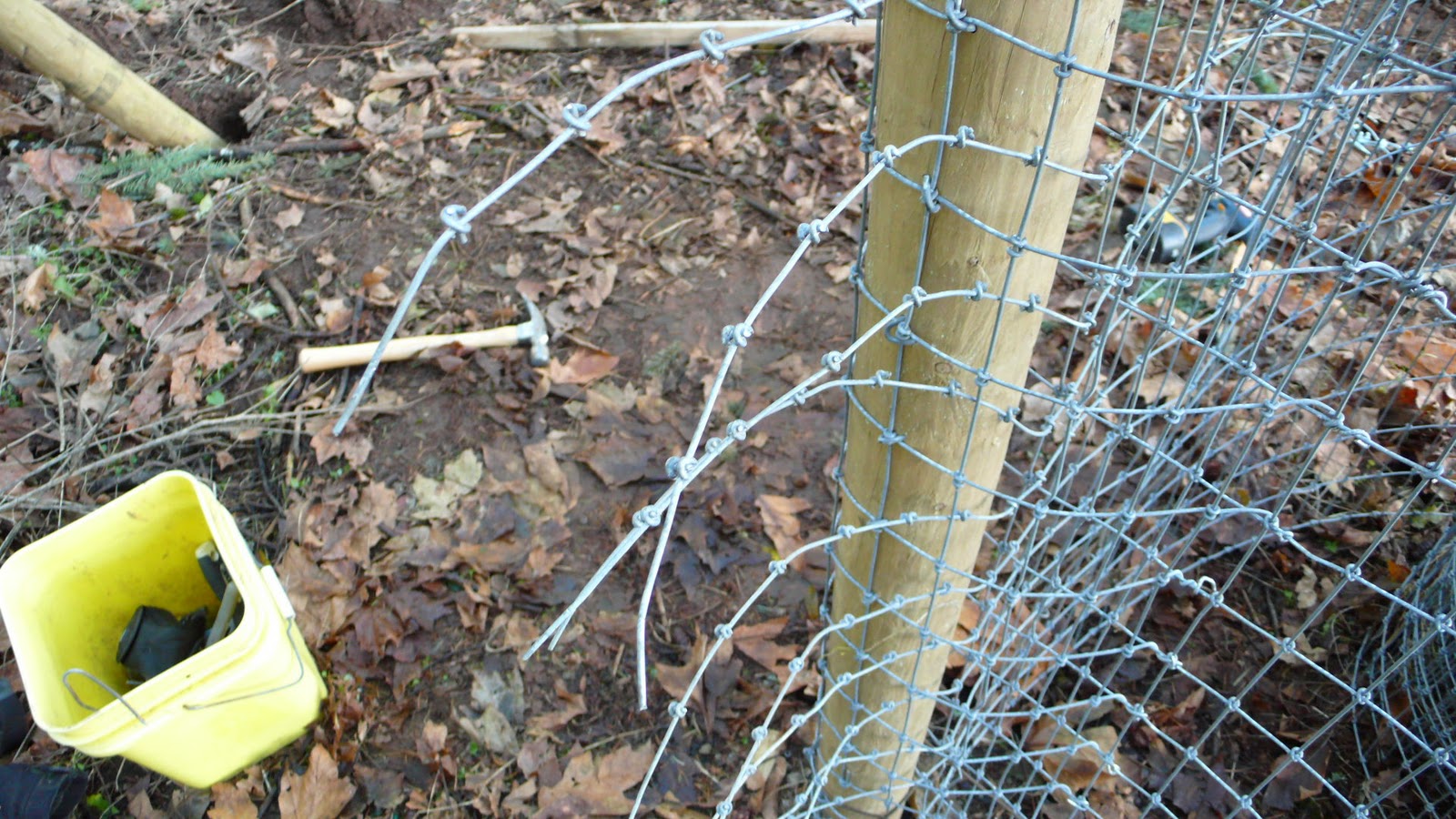 The Reluctant Homesteaders: The Fence is Done!