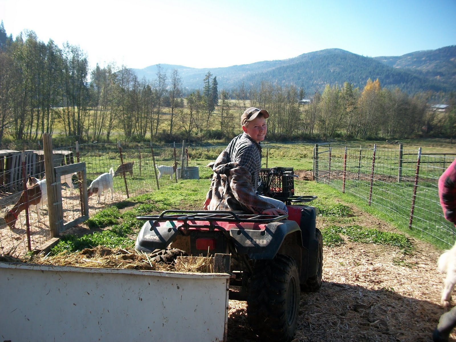 Four Seasons Farm: Barn Work Day