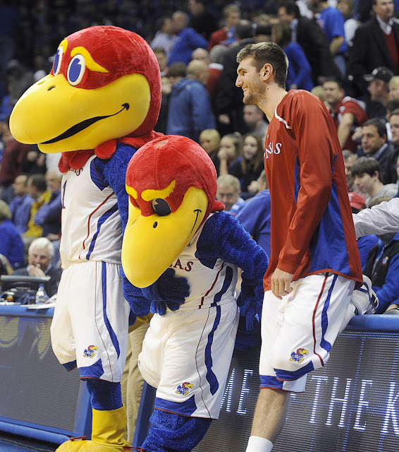 Sarah Midgorden Photography: In the Phog