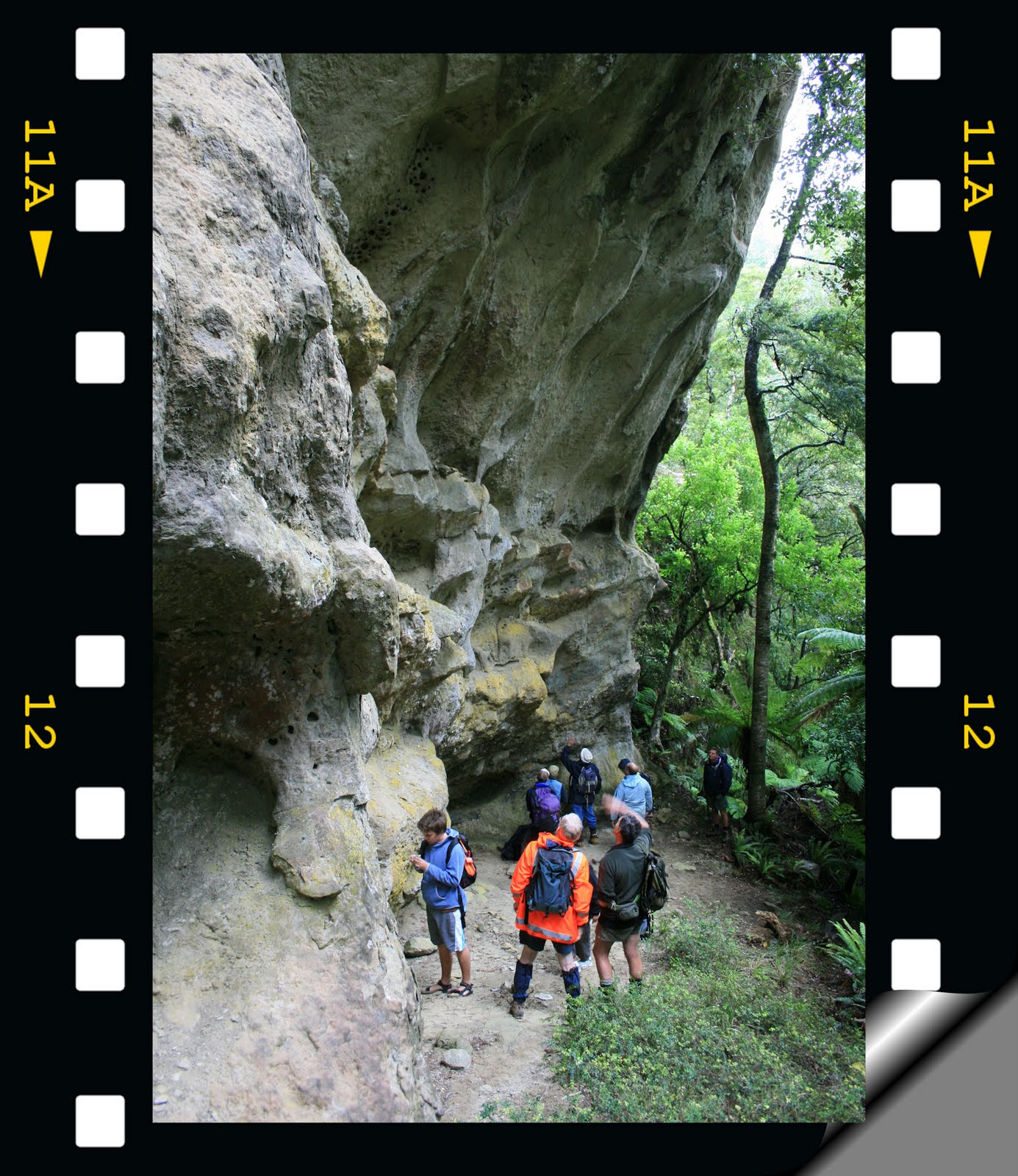 TANE-NUI-A-RANGI: THE BEGINNING