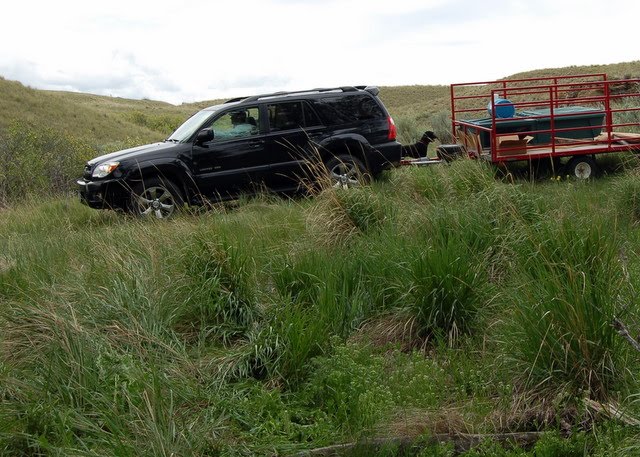 Moe Bird Hunts: Pheasant Surrogator... The Project Begins....