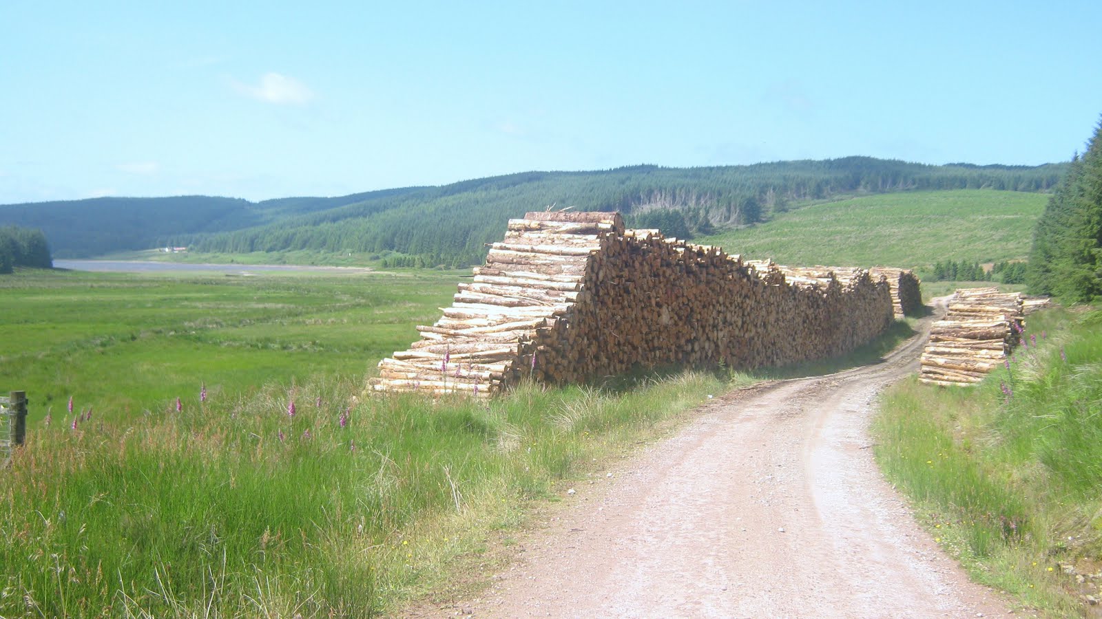 coastrider: Biking the Kintyre Way
