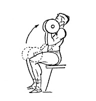 Exercitii de baza pentru muschiul biceps brahial ~ MEDSPORT FITNESS ...