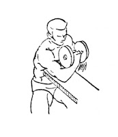 Exercitii de baza pentru muschiul biceps brahial ~ MEDSPORT FITNESS ...