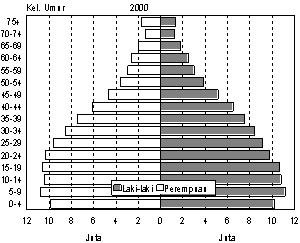 INDONESIAN POPULATION