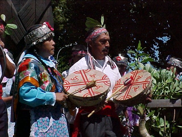 migyfra: LOS MAPUCHES