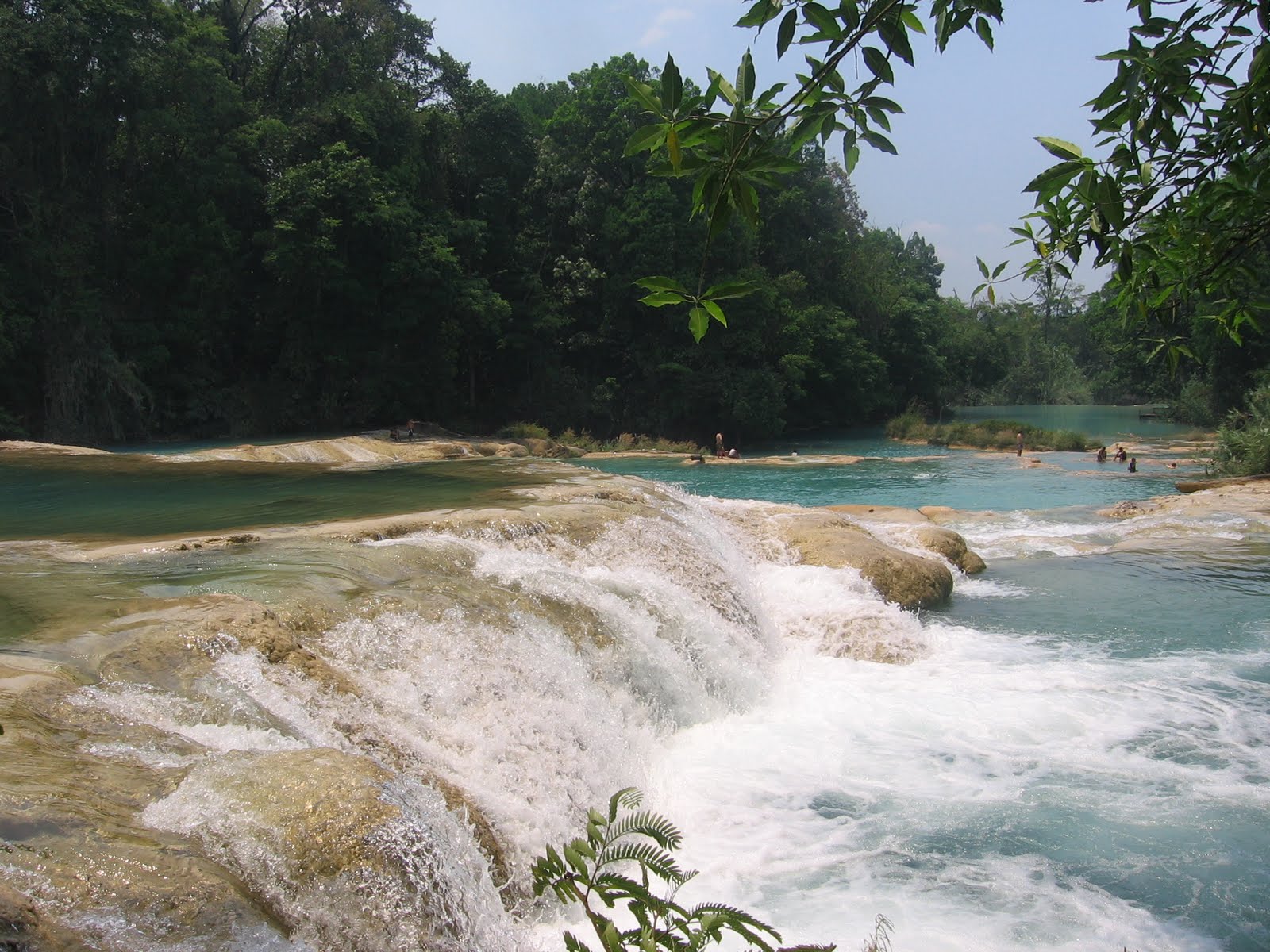 Courtney's Blog: Agua Azul