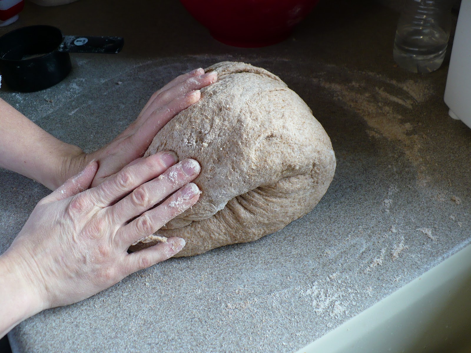 The Tasty Cheapskate: 100% Whole Wheat Bread--Simple, Cheap, Homemade ...
