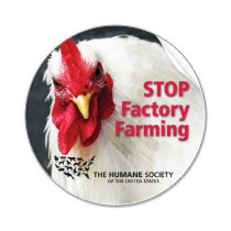 Check it out: Stop Cruelty, Stop Factory Farming....