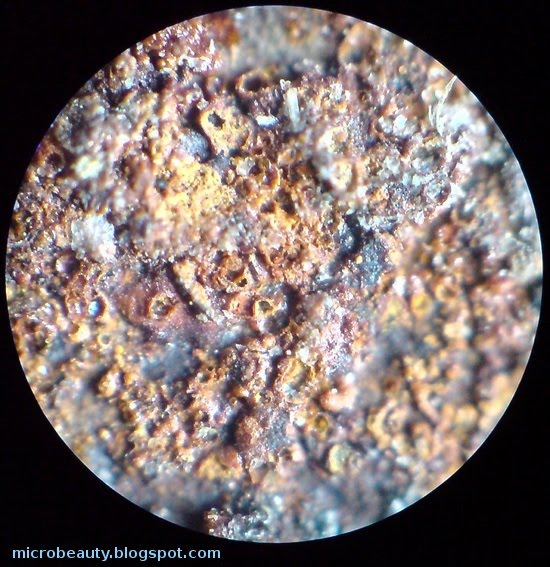 The Wonderful Microworld: Micrographs of Metal Surfaces - Iron, gold ...
