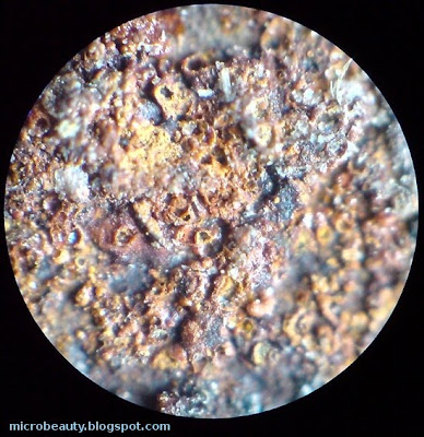 The Wonderful Microworld: Micrographs of Metal Surfaces - Iron, gold ...