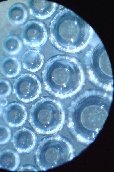 The Wonderful Microworld: Soap Bubbles Through The Microscope