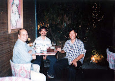 The Secret Journals of Ariel N. Valerio