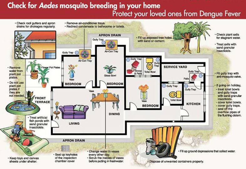 A malayali doctor's blog: Tips for prevention of breeding of Aedes ...