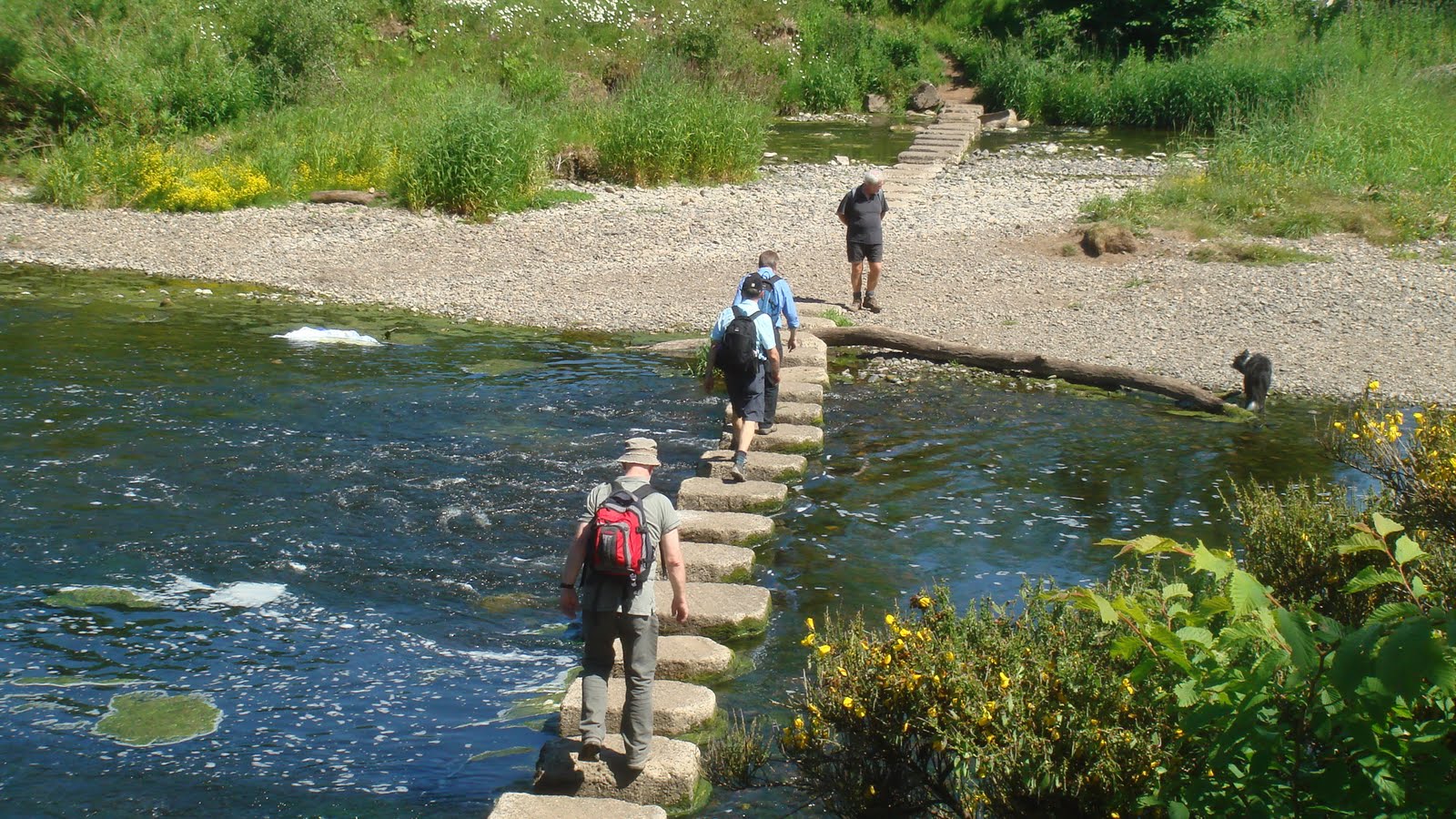 Adventures of the Early Ooters: Annbank to Ayr - last section of the ...