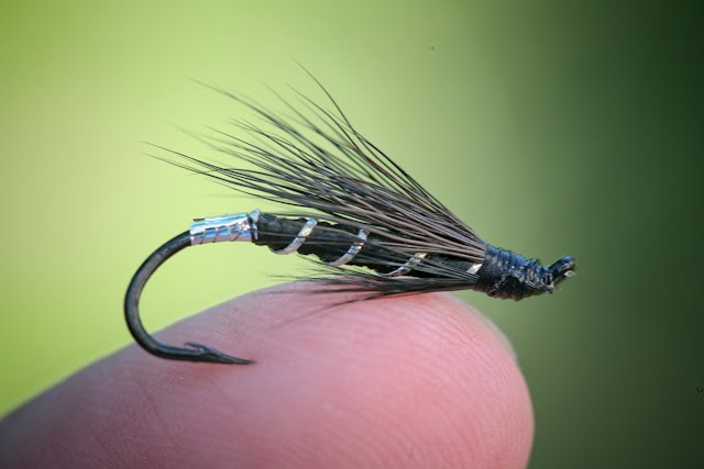 Red Fish Blog: Salmon Fishing in Newfoundland