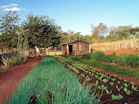 Projeto Terra 7a.E: Minifúndio