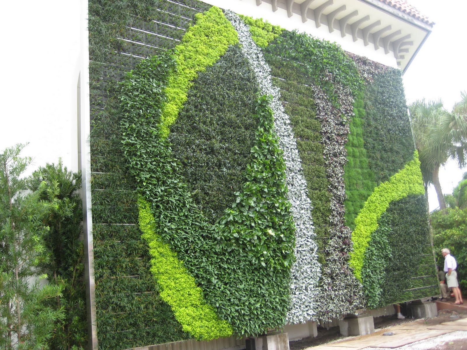 Sprout: Green Wall in Palm Beach County!