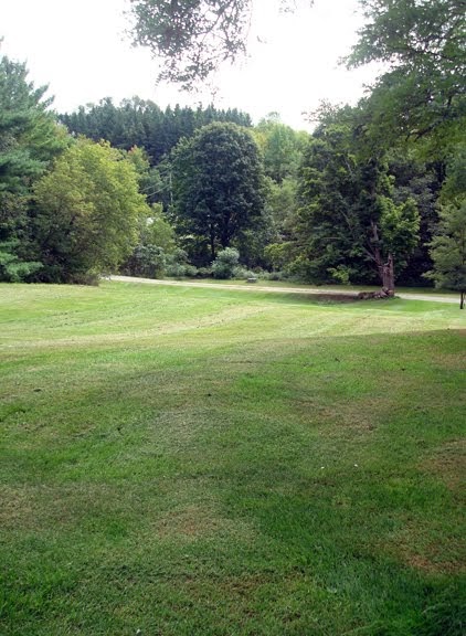 Pixie Hill: My happy place.