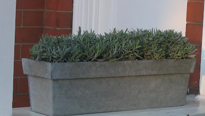 GARDEN BOUTIQUE: SPRING WINDOW BOX PLANTING IDEAS