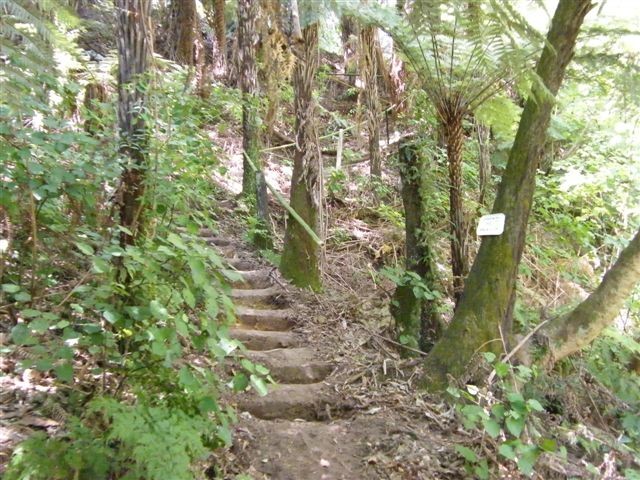 nudistresort: Bay of Plenty Sun Club,New Zealand,naturist club